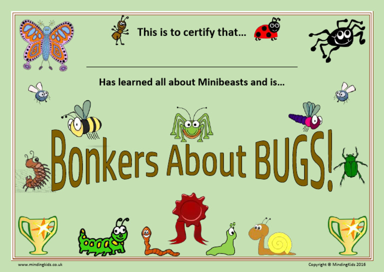 Bonkers About Bugs Certificate | PDF