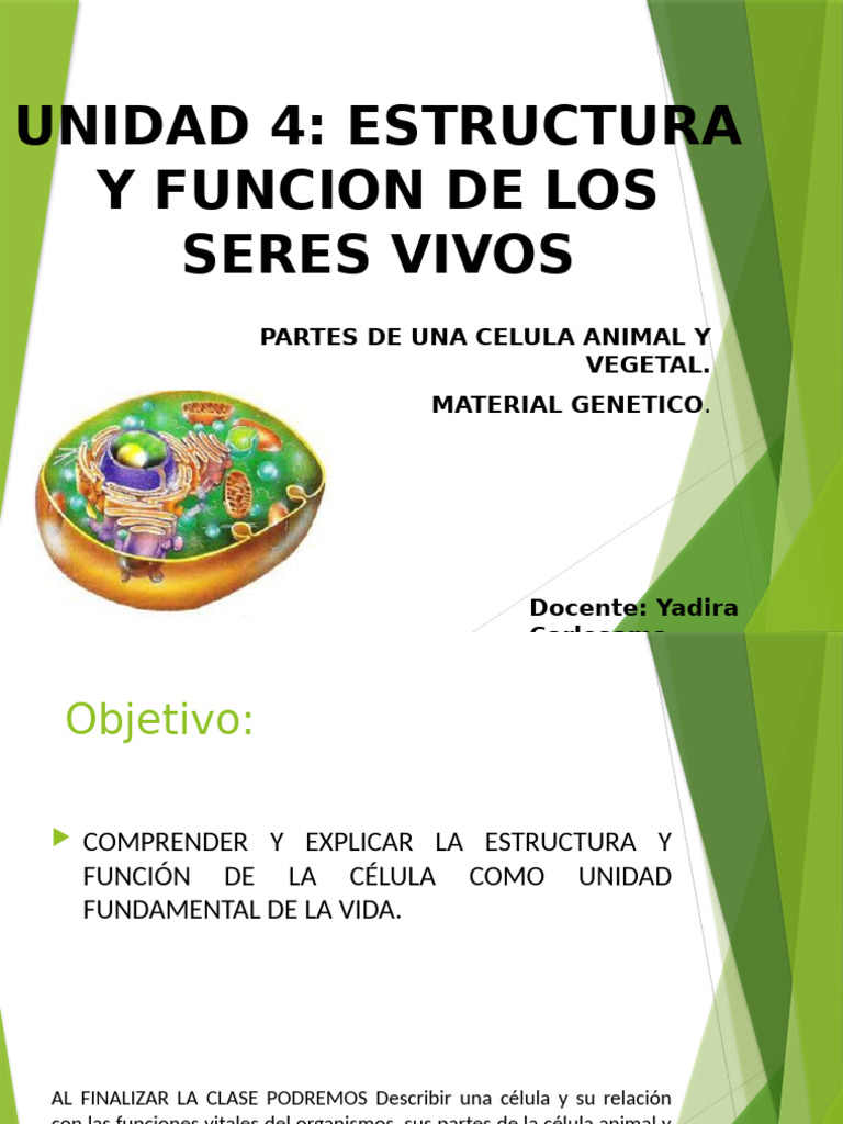 Estructura y Función de Células Vivas | PDF | Biología Celular ...