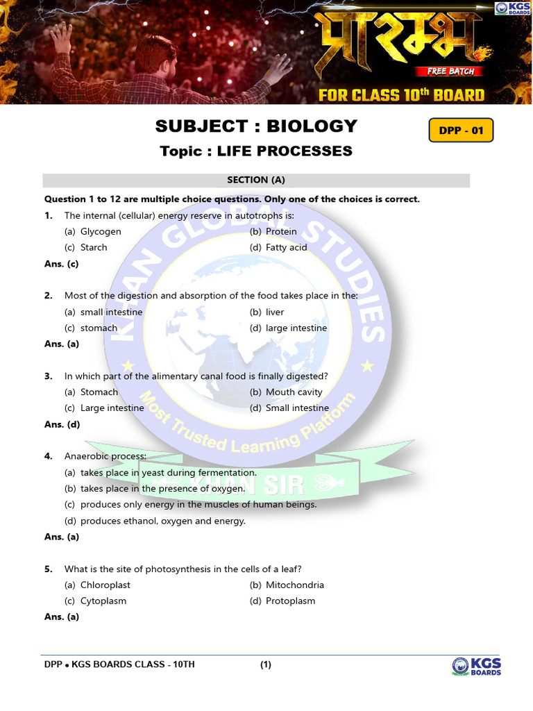 Life Processes DPP - 9798170756 | PDF | Digestion | Cellular Respiration