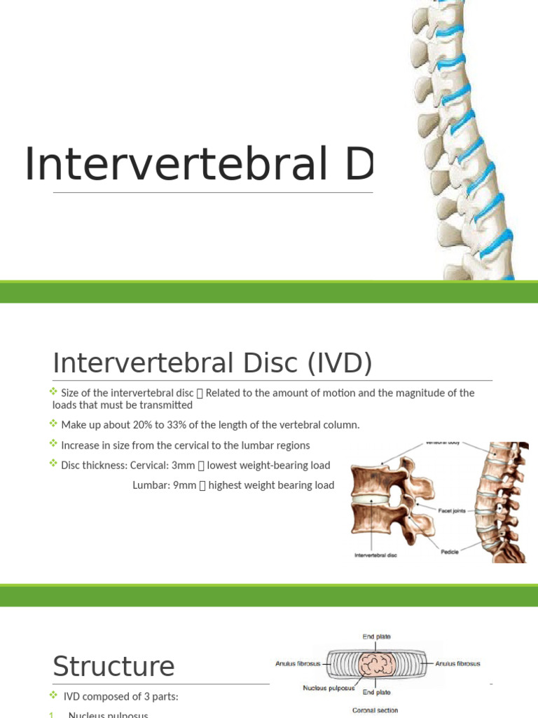 Intervertebral Disc | PDF | Vertebra | Cartilage