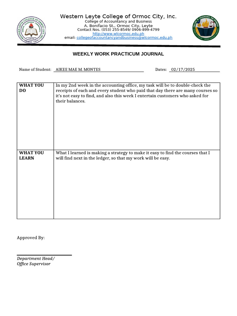 Intership Journal 2 | PDF