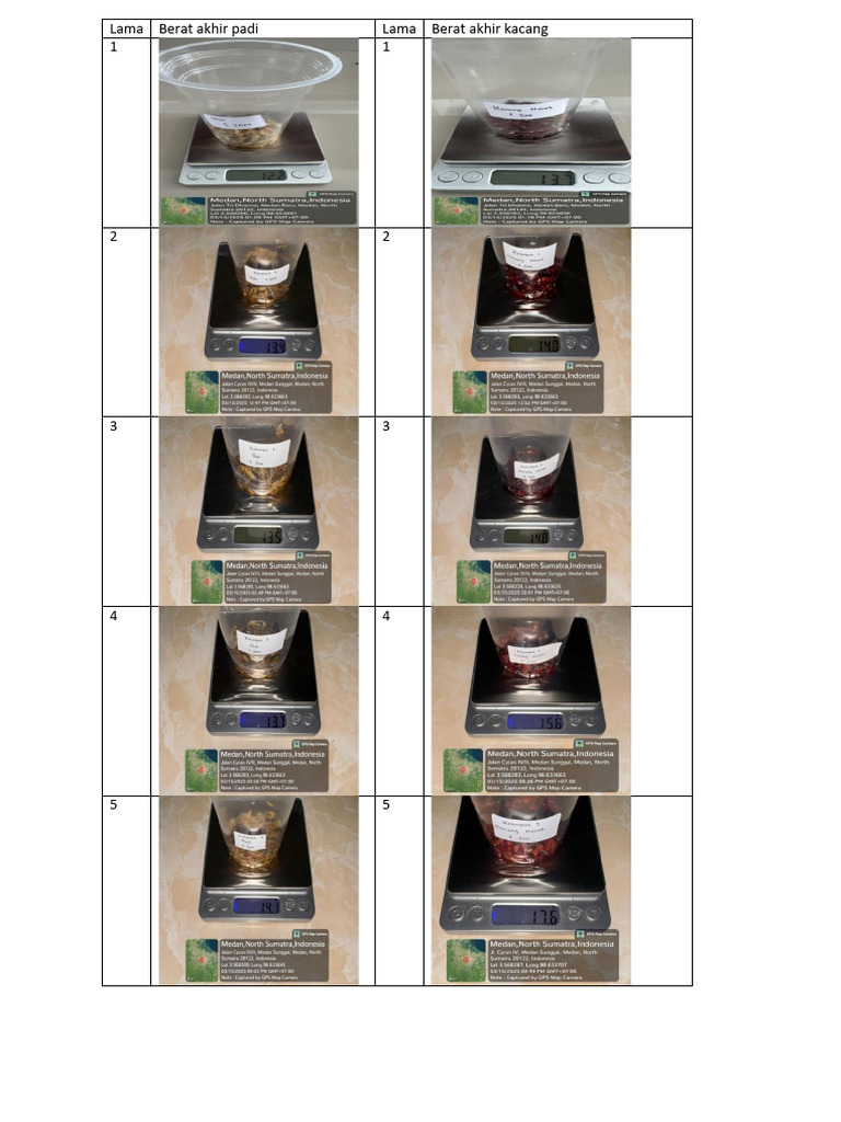 Foto Dokumentasi Imbibisi | PDF