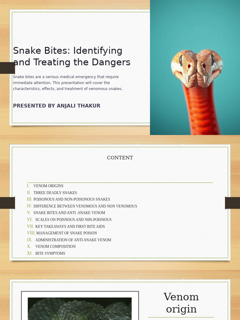Understanding Snake Bites and Treatments | PDF | Venom | Clinical Medicine