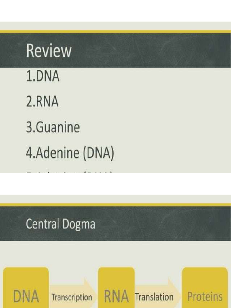 Grade 10 - Mutation | PDF