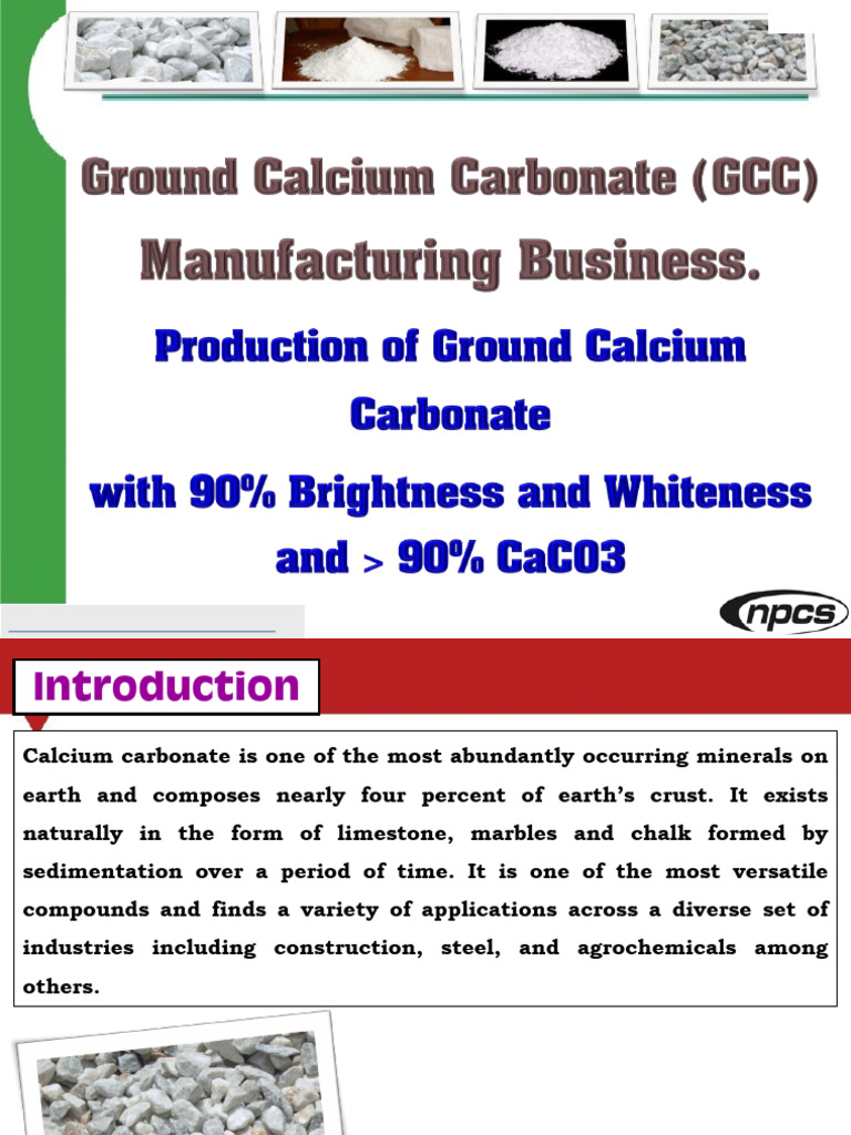 Ground Calcium Carbonate Plant Costs | PDF | Equity (Finance)