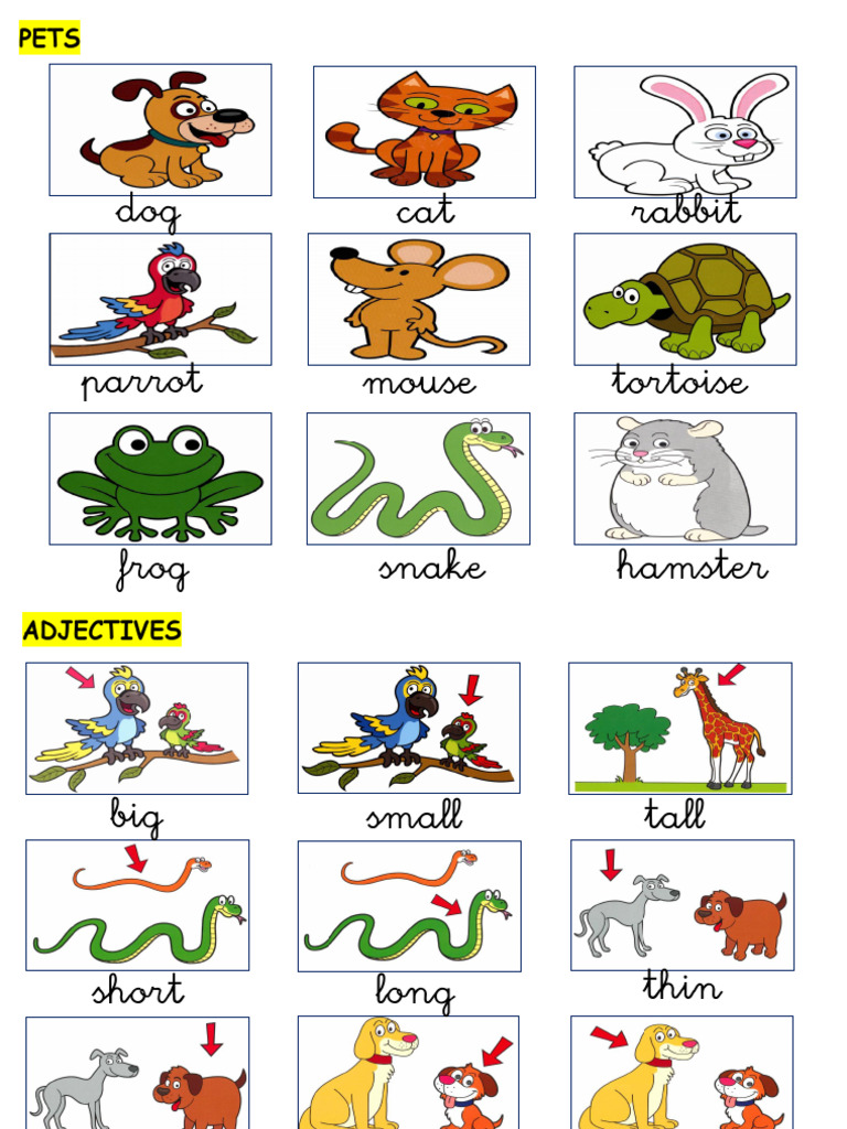 5. pets, adjectives | PDF
