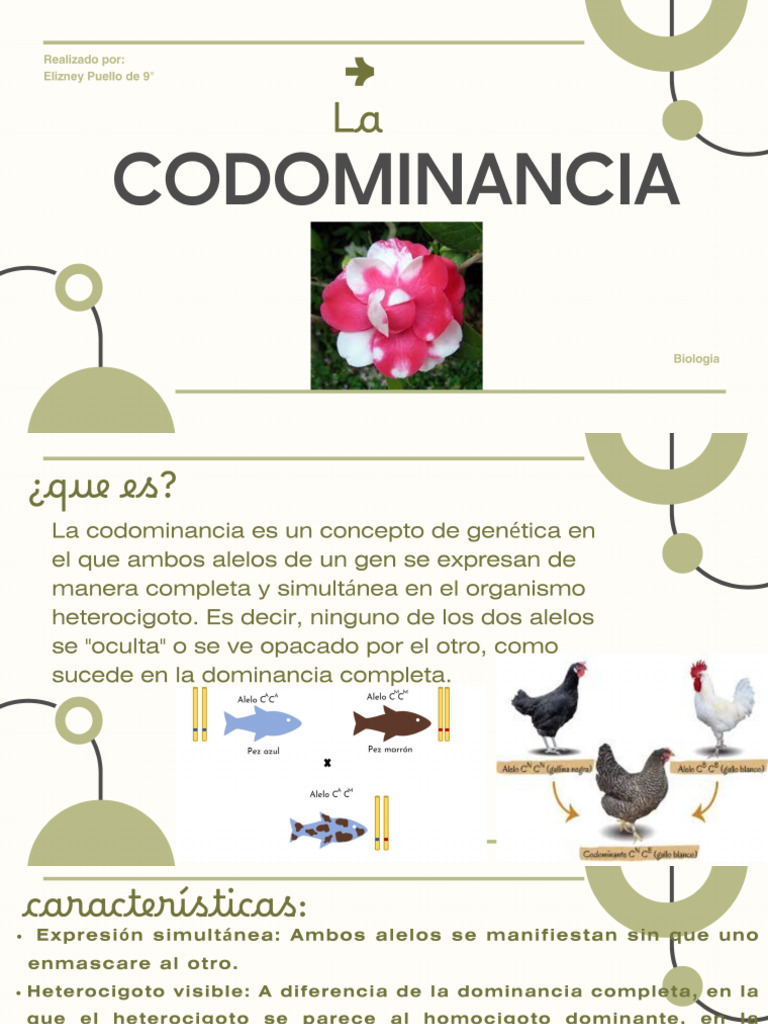la codominancia | PDF