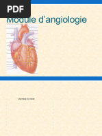 4 Péricarde | PDF | Anatomie | Angiologie