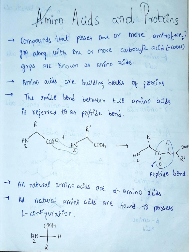 Amino Acids Proteins Harmones | PDF