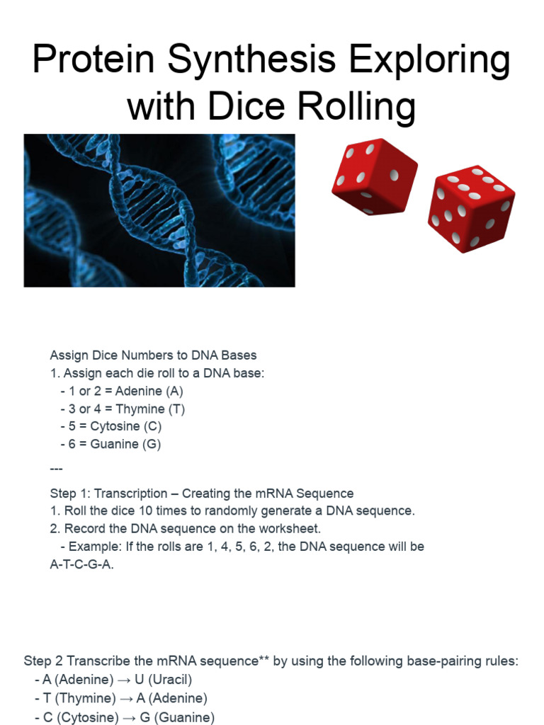 Dice-Based Protein Synthesis Activity | PDF | Translation (Biology ...