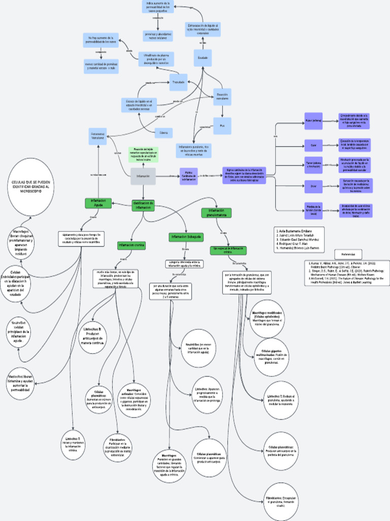 Mapa Conceptual - P Gina 1 | PDF | Inflamación | Edema