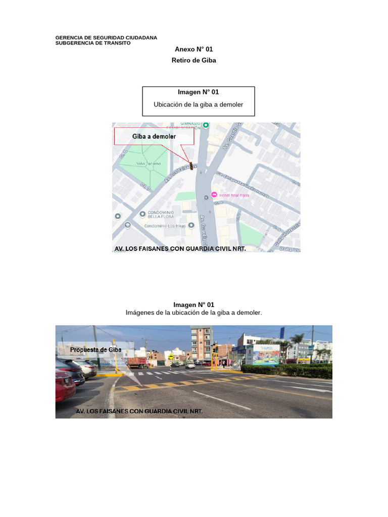 Anexo N°01 - Giba A Demoler | PDF