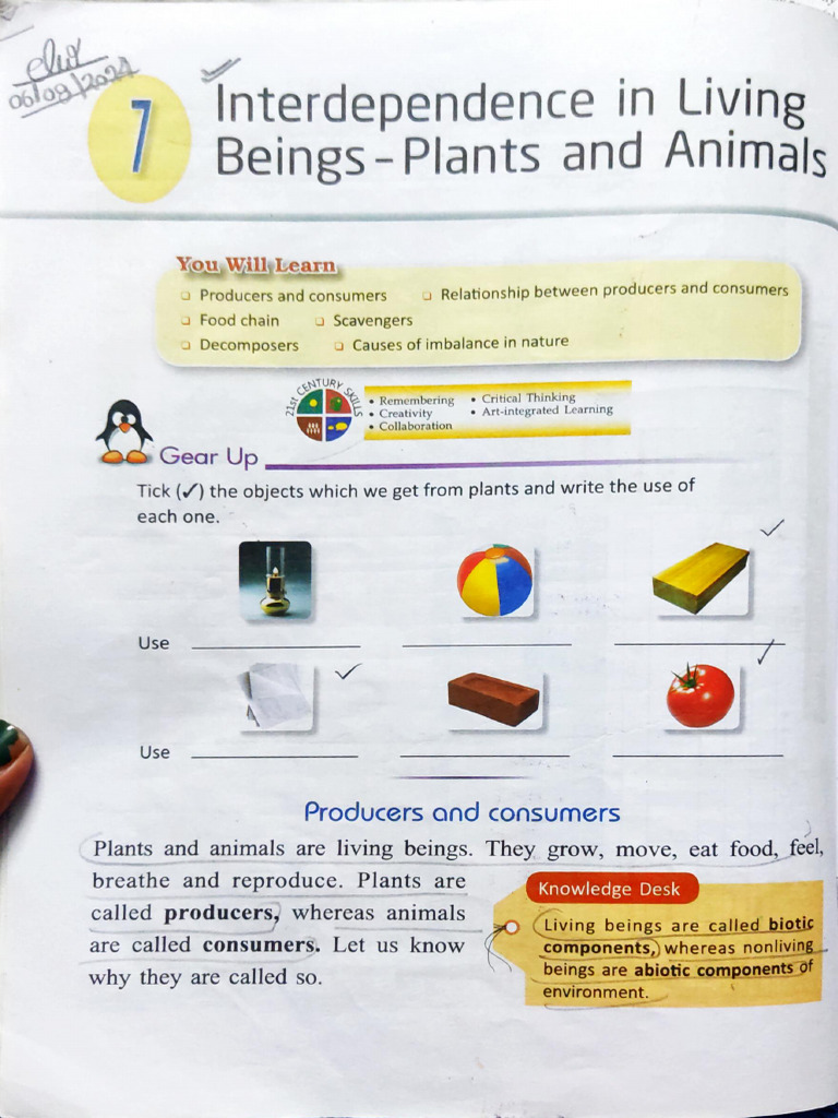 science class 5 exam 2 | PDF