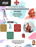 Astenia y Adinamia: Definición y Causas | PDF | Debilidad | Hepatitis