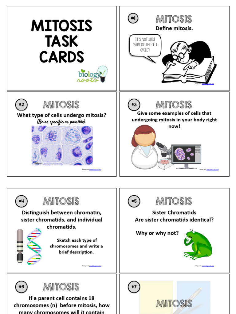 Mitosis Task Cards - Small | PDF | Mitosis | Systems Biology