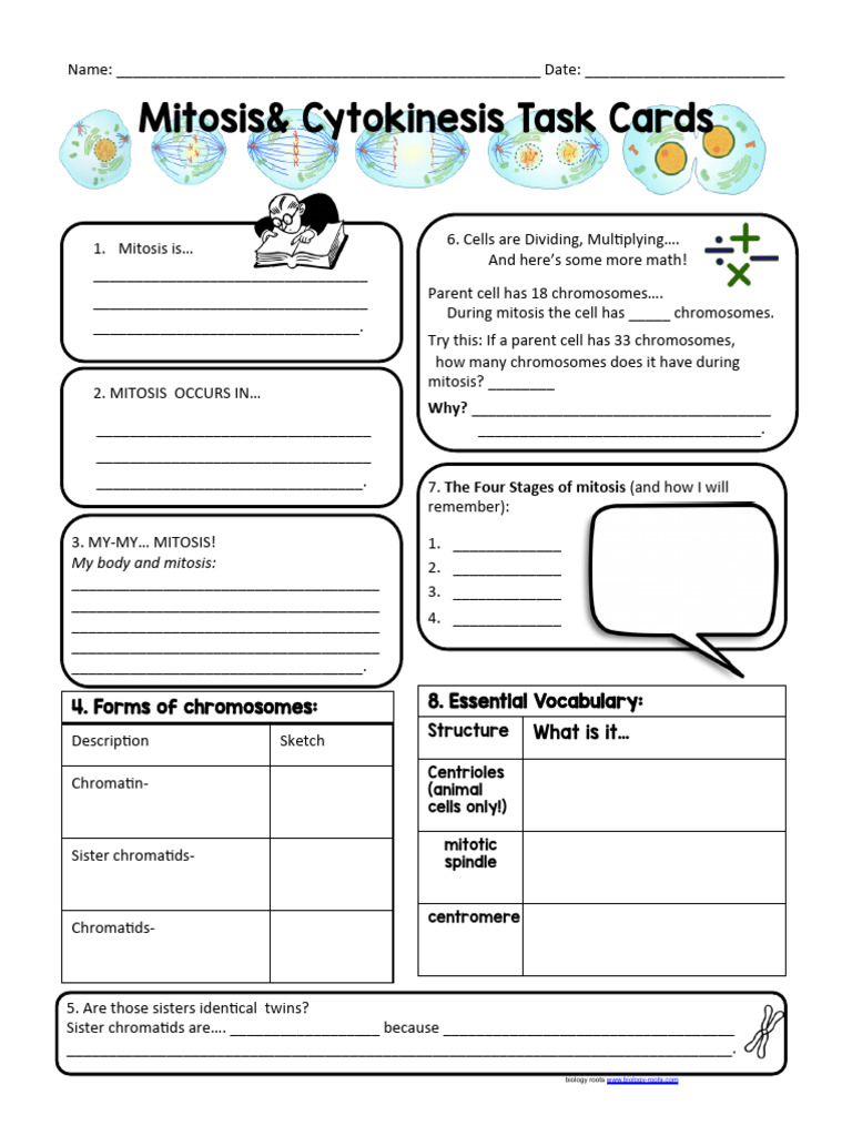 Mitosis Task Cards Student Answer Sheet | PDF | Mitosis | Cellular ...