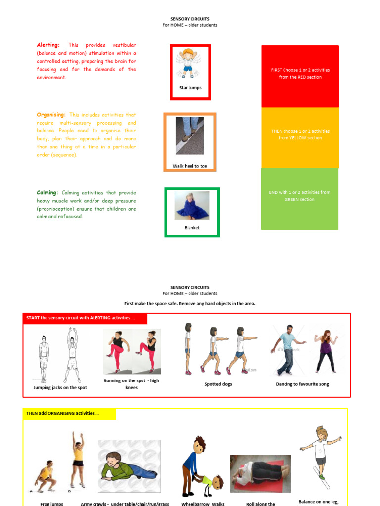 0106 Sensory Circuits at HOME For Older Children | PDF | Neuroscience ...