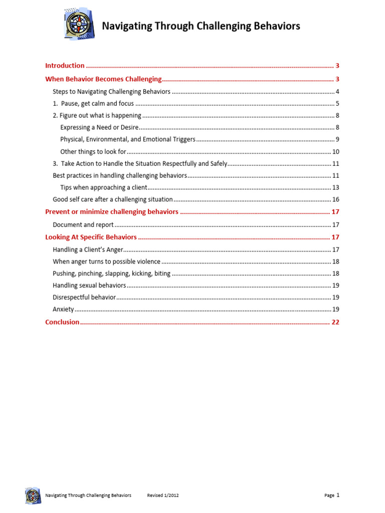 Navigating Challenging Behaviors | PDF | Anxiety | Anger