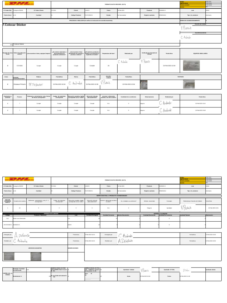 Ipr07276 - Formato Batch Record-Muestra | PDF