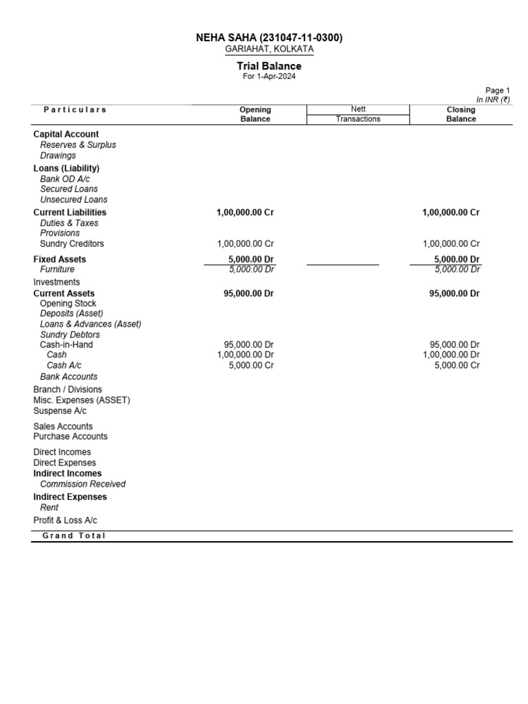 Trial Balance Report for NEHA SAHA | PDF