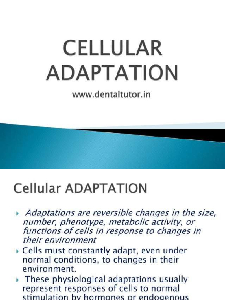 Cellular Adaptations | PDF