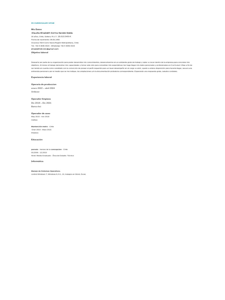 Mi Curriculum Vitae 2024 | PDF