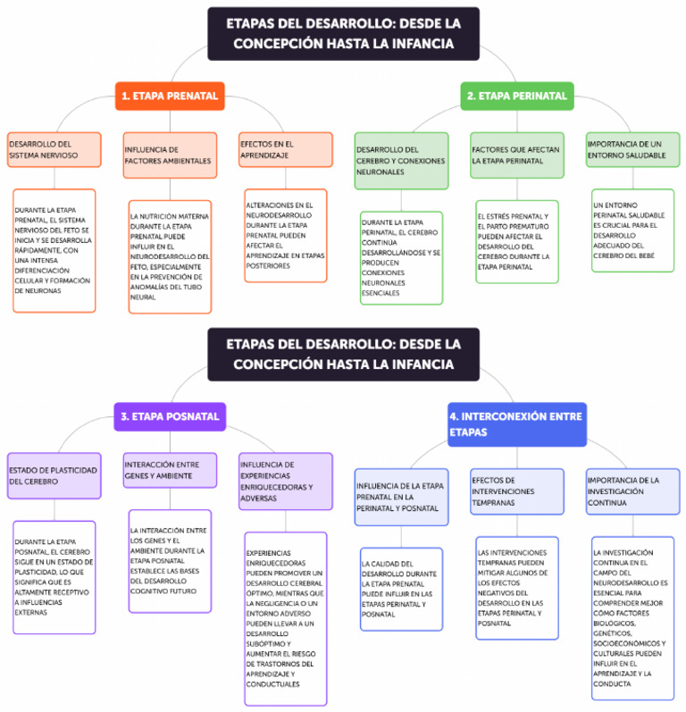 Etapas Del Desarrollo - Linea Delmtiempo Act 2 | PDF