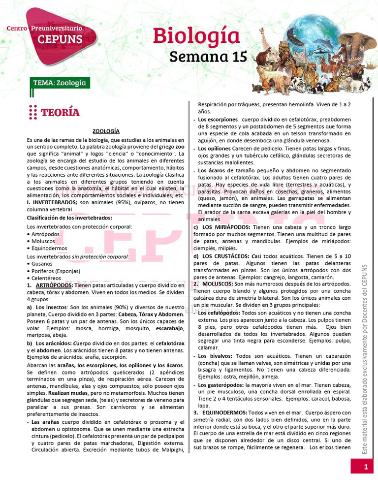 SEMANA 15 - Biologia | PDF | Esponja | Zoología