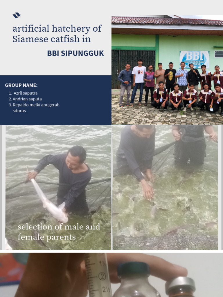 Presentasi Bisnis Proposal Bisnis Dengan Gaya Blok Warna Biru Tua Abu ...