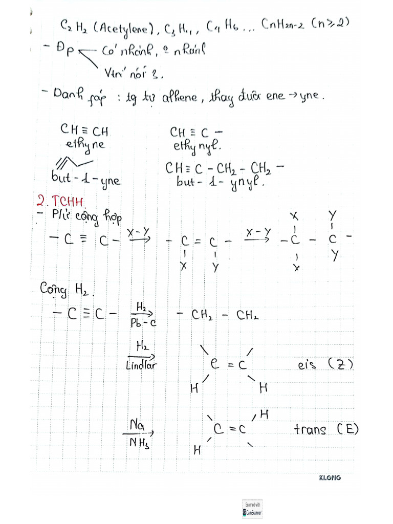 Ankyl | PDF