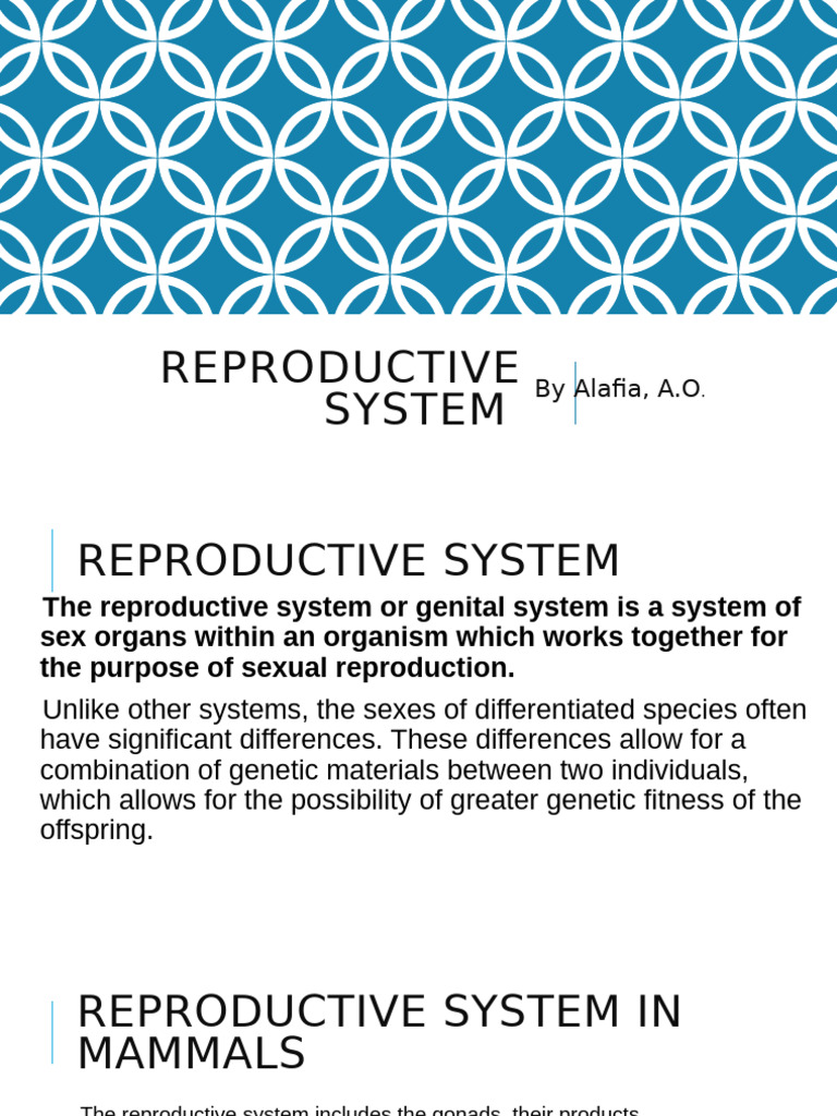 Overview of Mammalian Reproductive Systems | PDF | Reproductive System ...
