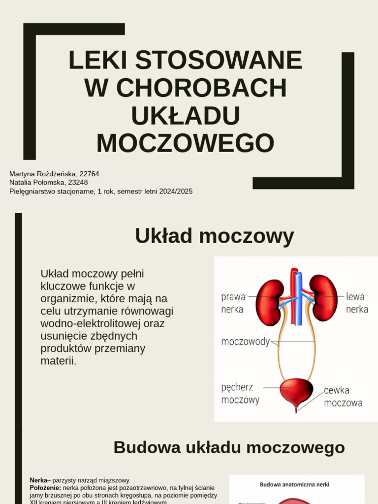 Leki Stosowane W Chorobach Układu Moczowegoo | PDF