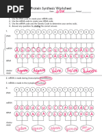 Protein Synthesis Worksheet | PDF