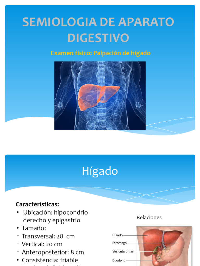 02 - Digestivo - Exame Físico Fígado | PDF | Hígado | Especialidades ...