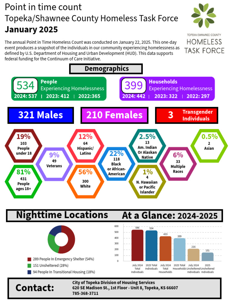 2025 Point in Time Homeless Count | PDF | Homelessness | Race And ...
