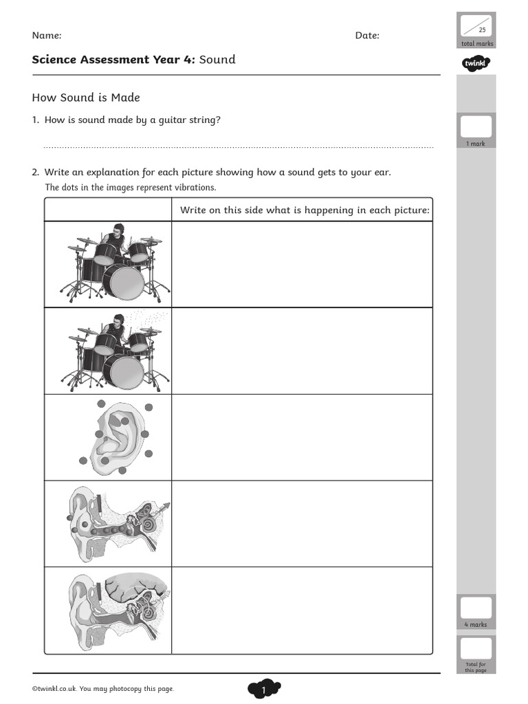 Year 4 Science: Sound Assessment | PDF | String Instruments | Guitars