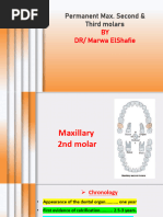 The Maxillary Molars Anatomy - Color Coded | PDF | Dentistry | Tooth