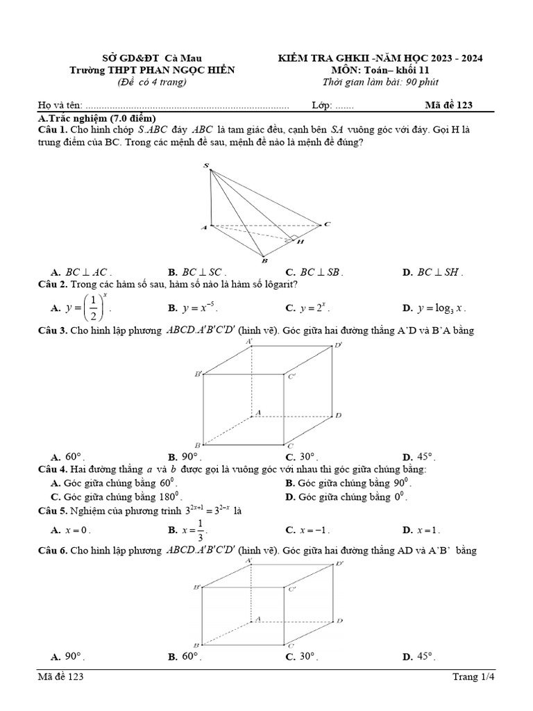 De Giua Hoc Ky 2 Toan 11 Nam 2023 2024 Truong THPT Phan Ngoc Hien Ca Mau | PDF