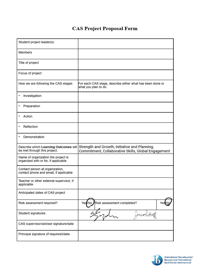 CAS Project Proposal Form Example | PDF
