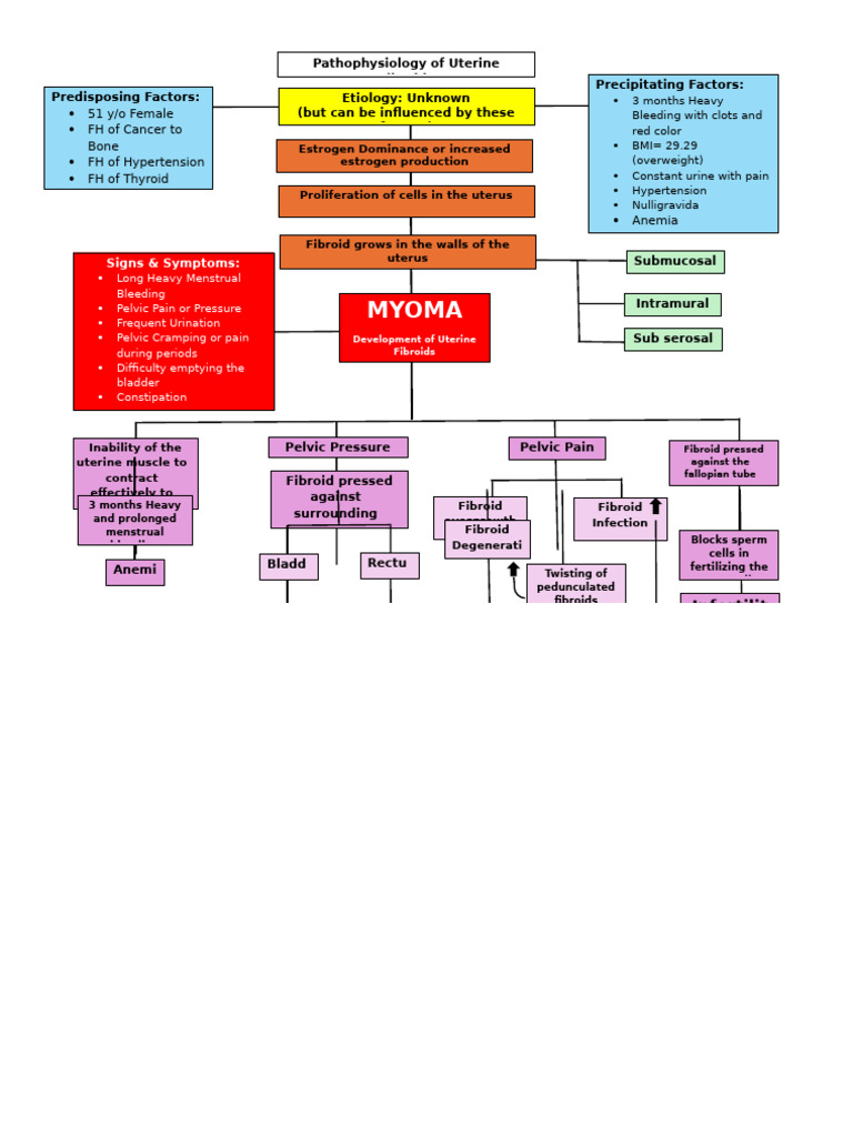 Pathophysiology UTERINE FIBROIDS | PDF | Uterus | Menstrual Cycle