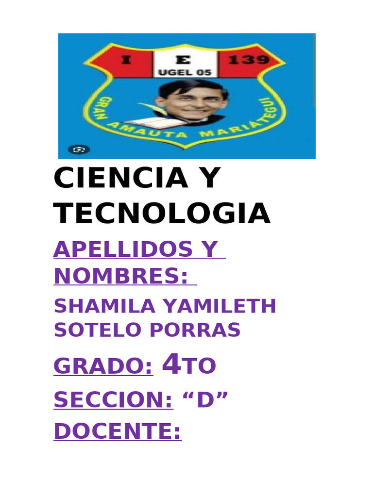 Informe Académico: Shamilah Sotelo 4to D | PDF
