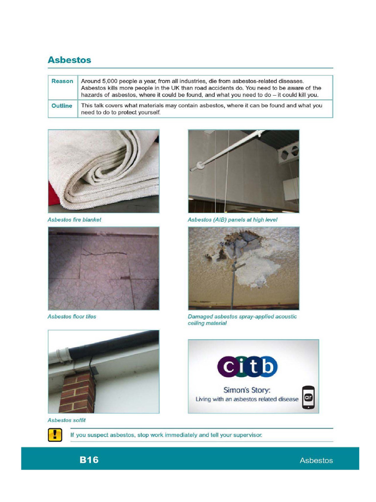 Asbestos | PDF