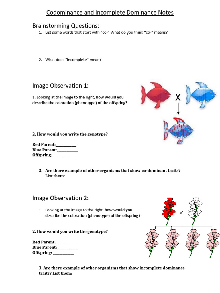 Bruce Deskins - Kami Export - froh8gihVoRCsOJH0uYOYA | PDF | Dominance ...