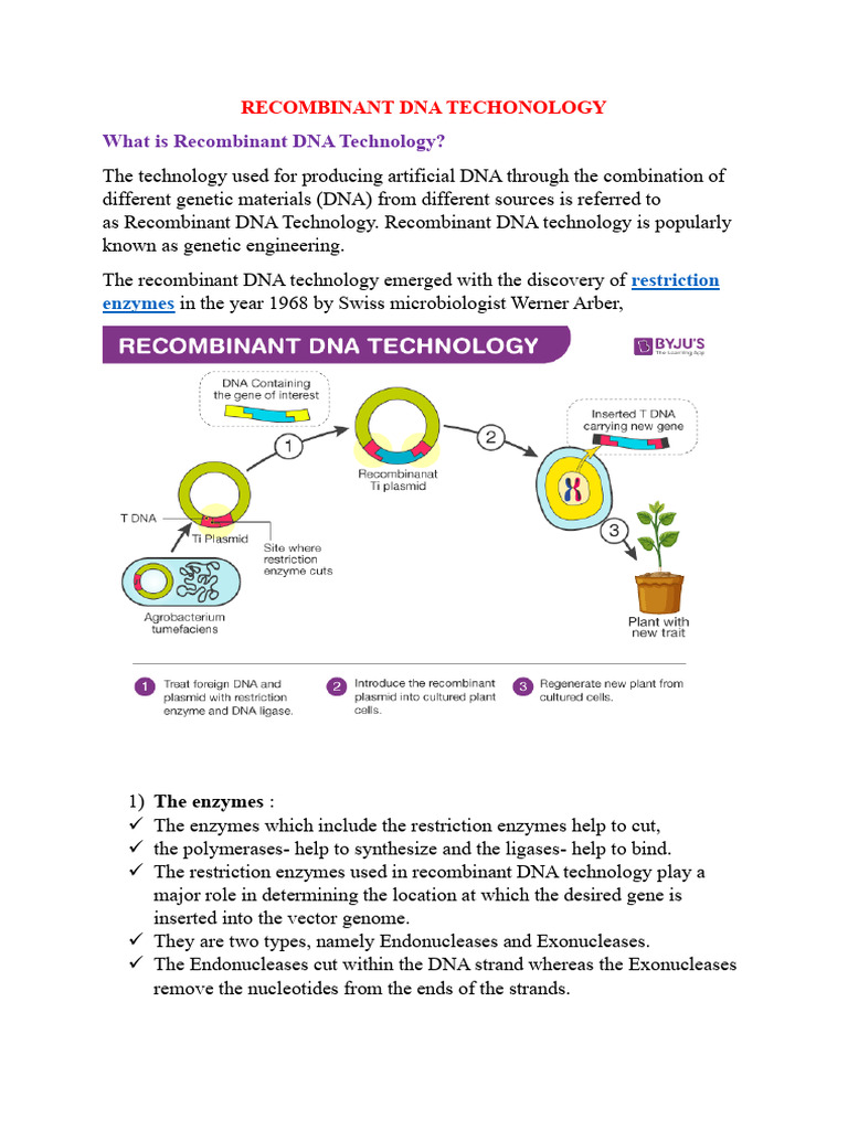 R DNA Technology and Application of Genetic Engineering | PDF ...