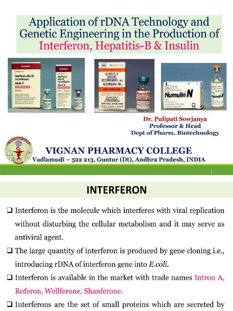Interferons Hepatitis B Insulin | PDF