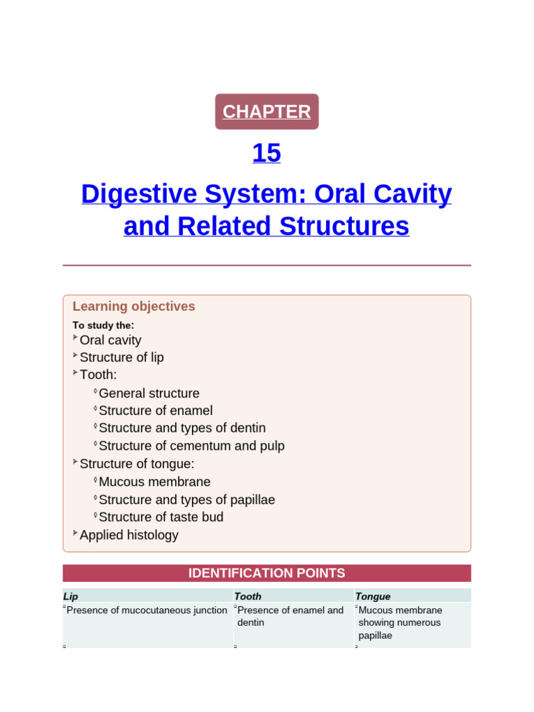 Oral Cavity and Tooth Structure Overview | PDF | Tongue | Dentin