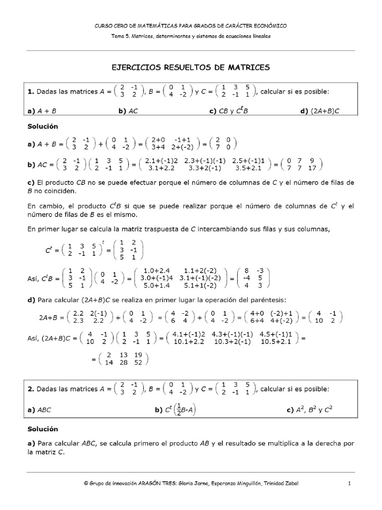 Matrices Básicas | PDF