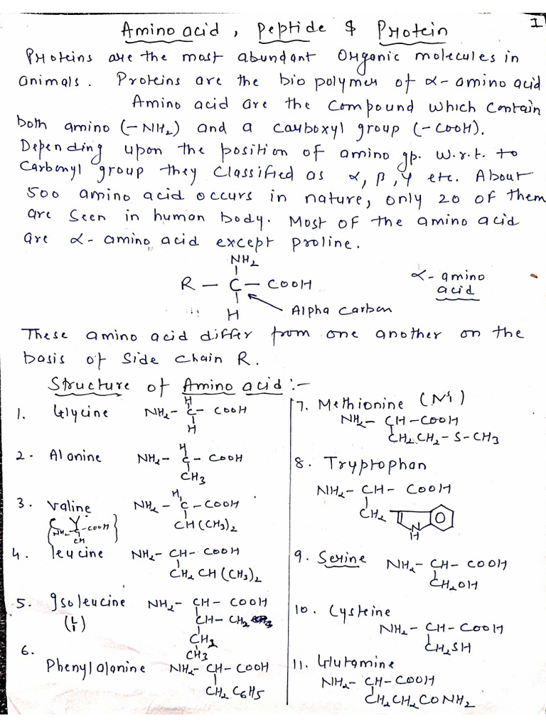 Amino Acid | PDF