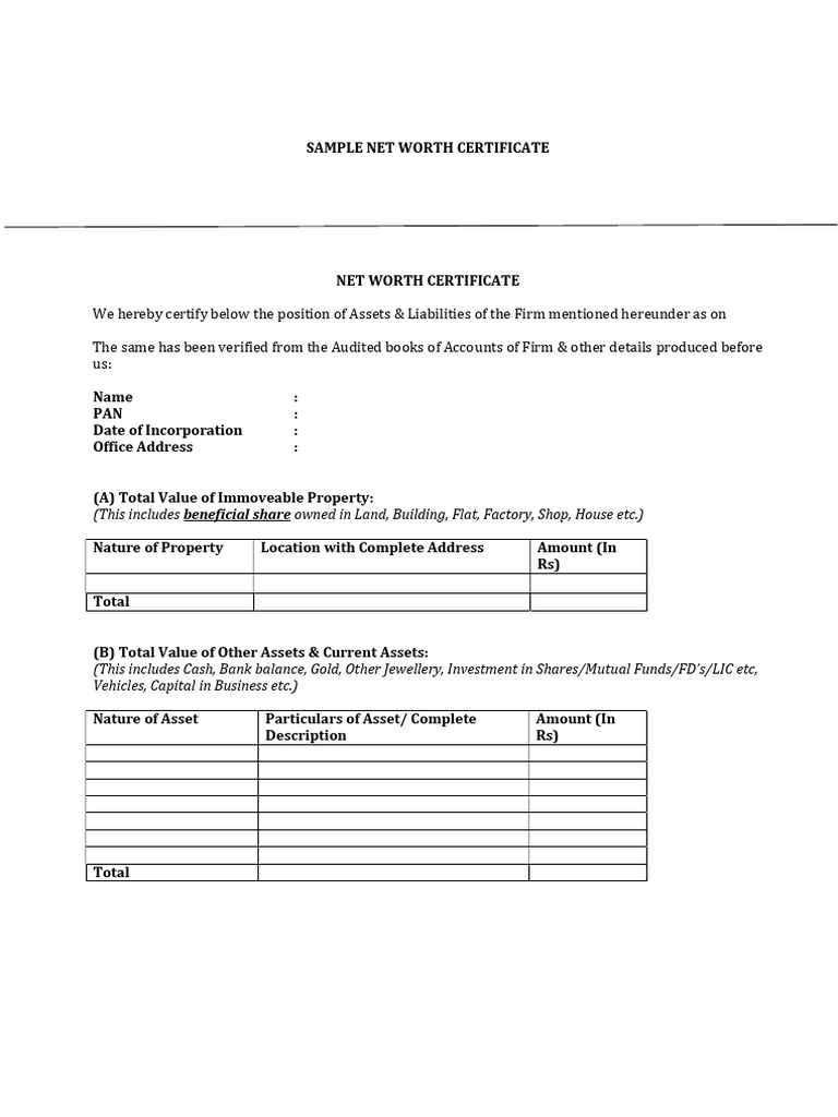 Sample Net Worth | PDF