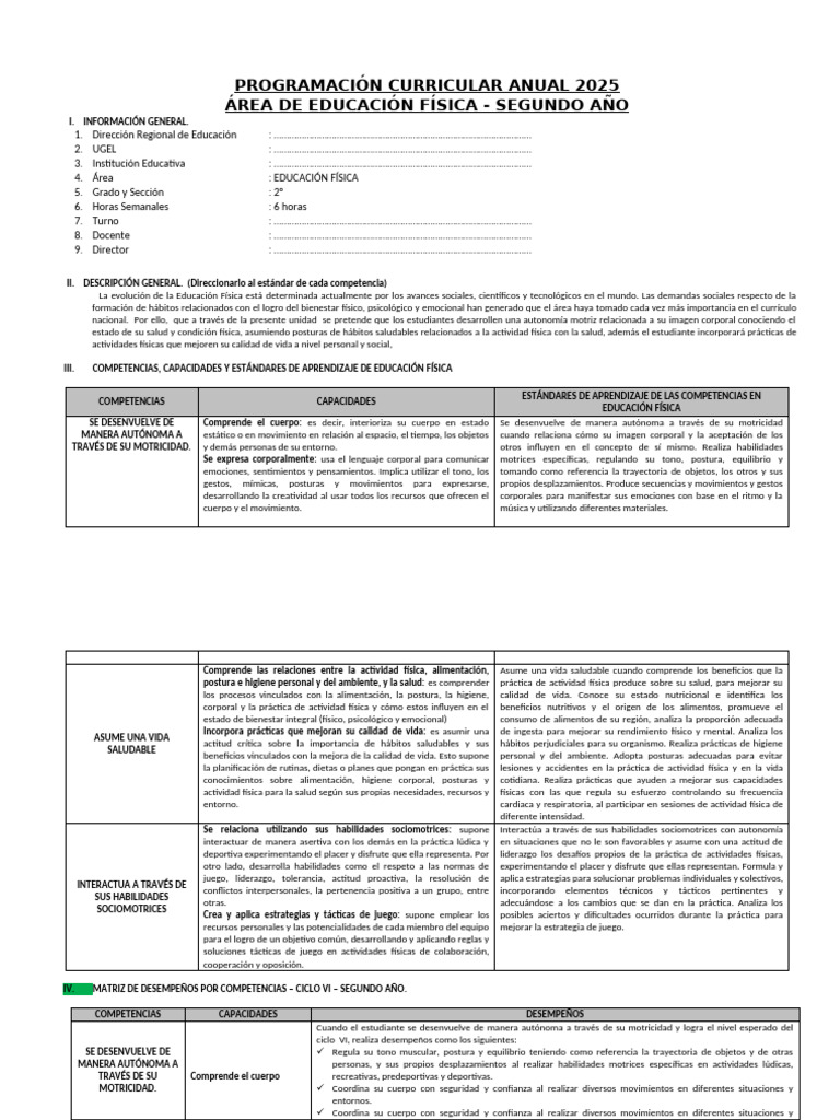 Formato de Programacion Anual 2025 | PDF | Evaluación | Enseñando